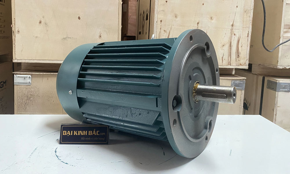 Motor điện YE2-160M-4 11Kw 4P