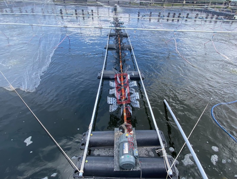 Giá Của Động Cơ Giảm Tốc Chạy Dàn Quạt Nuôi Tôm